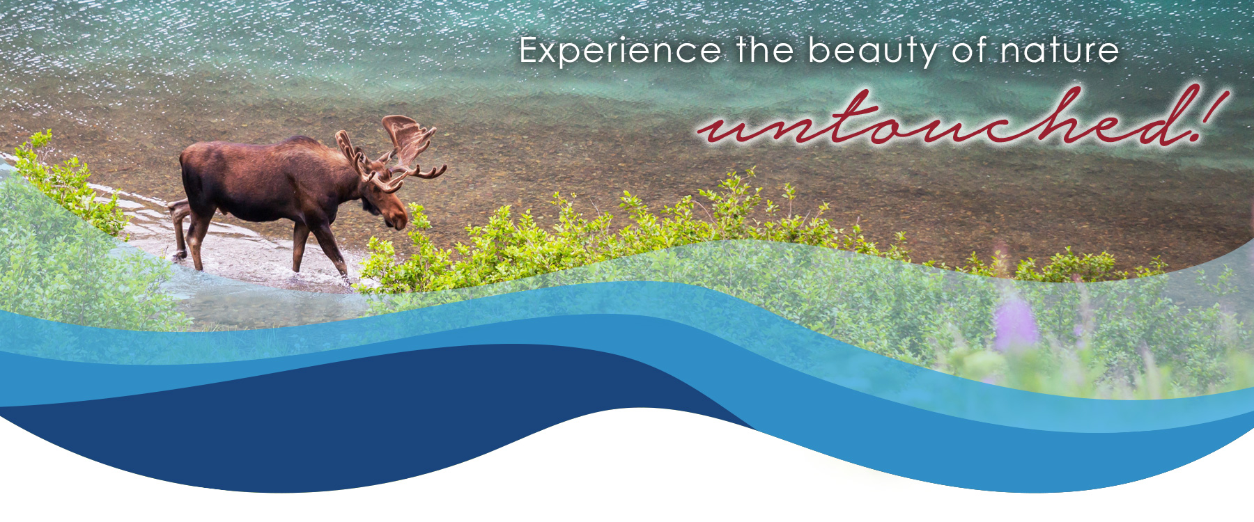 Official Rio Grande County CO Tourism | Lodging Dining Attractions