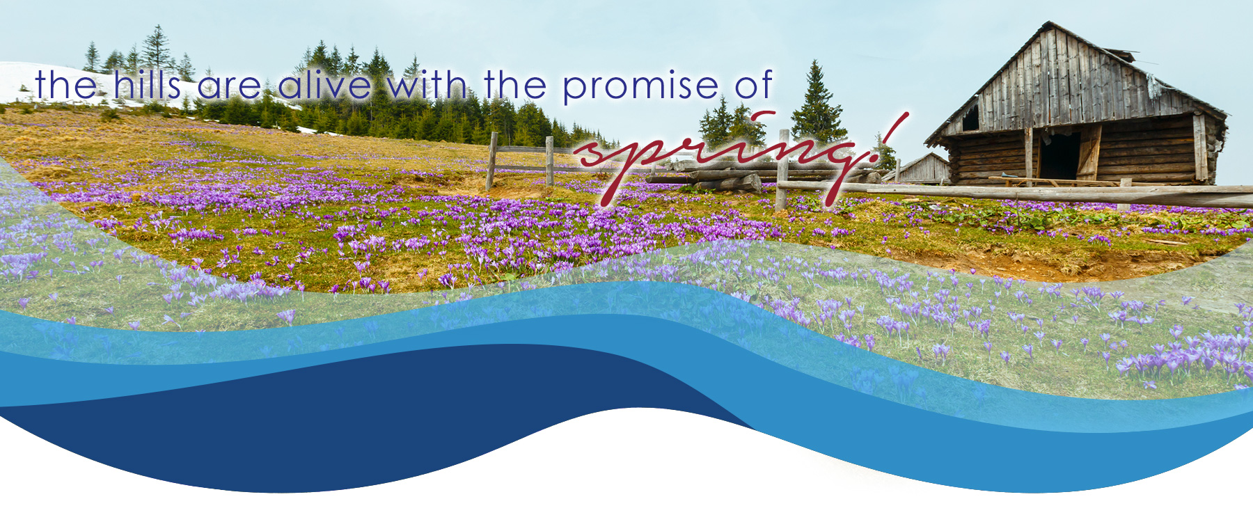 Official Rio Grande County CO Tourism | Lodging Dining Attractions